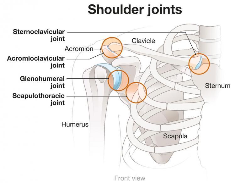 Snapping Scapula Syndrome (SSS) - Pinnacle Vitality Rehab